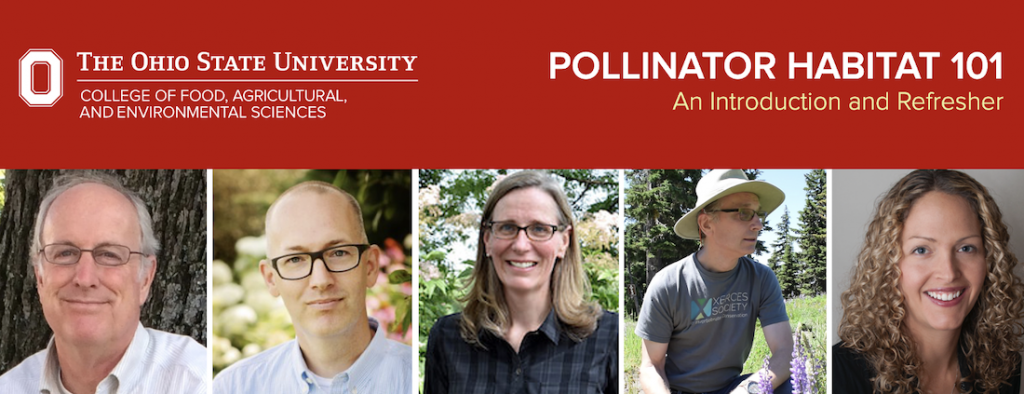 Pollinator habitat 101: an introduction and refresher | Wild Pollinator ...