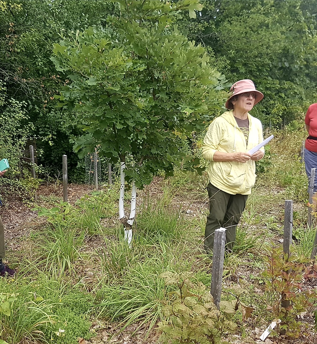 Visiting the Champlain Park gardens | Wild Pollinator Partners