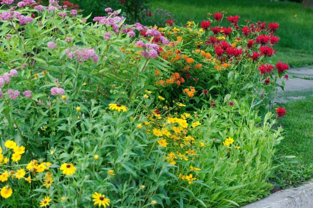 Residential gardening in the City of Ottawa’s right of way | Wild ...