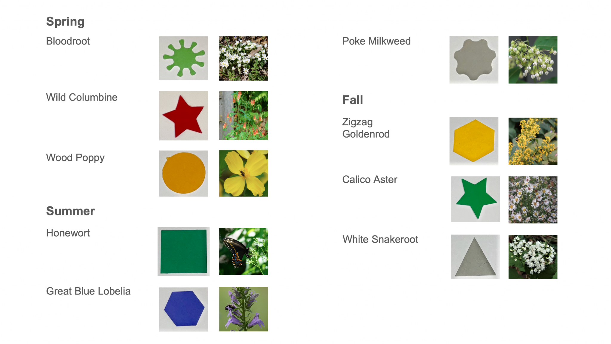 Beginner pollinator garden: the 3 x 3 x 3 system | Wild Pollinator Partners