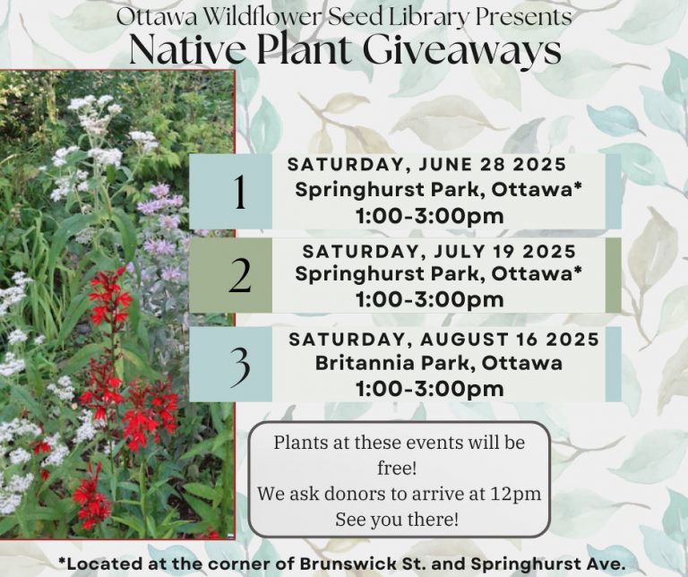 Ottawa Wildflower Seed Library: plant giveaway events | Wild Pollinator ...